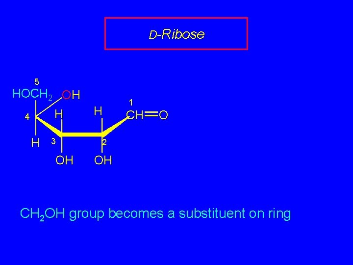 25 6 Cyclic Forms of Carbohydrates Furanose Forms