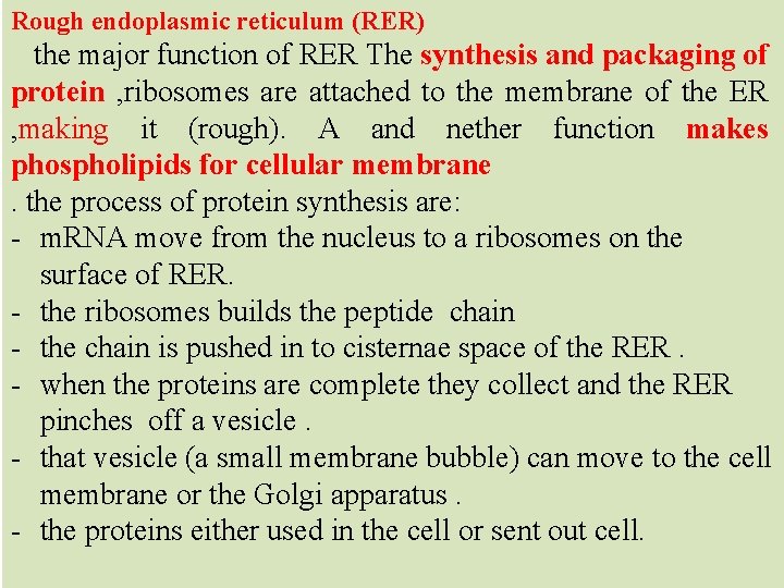 The Endomembrane system endo within is a group