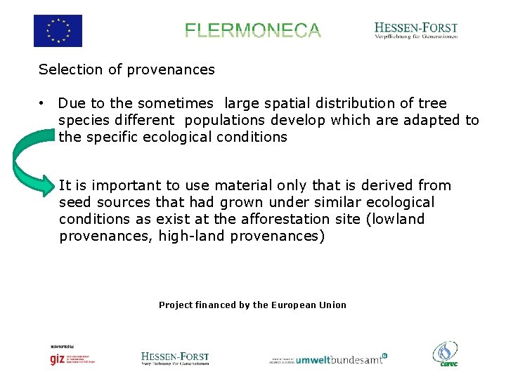 Reflections about Forest Reproductive Material Project financed by