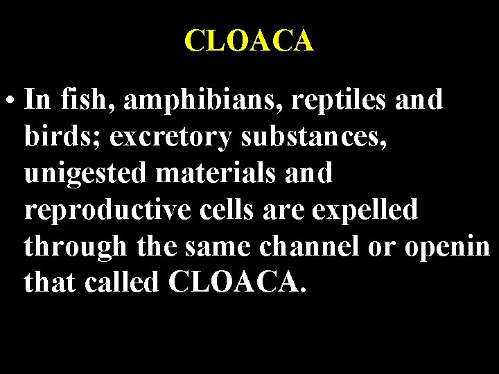 EXCRETORY SYSTEM Metabolic wastes of the chemical reactions