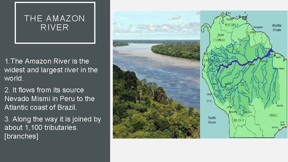 BRAZIL By Lucas Mc Gibney MAP OF BRAZIL