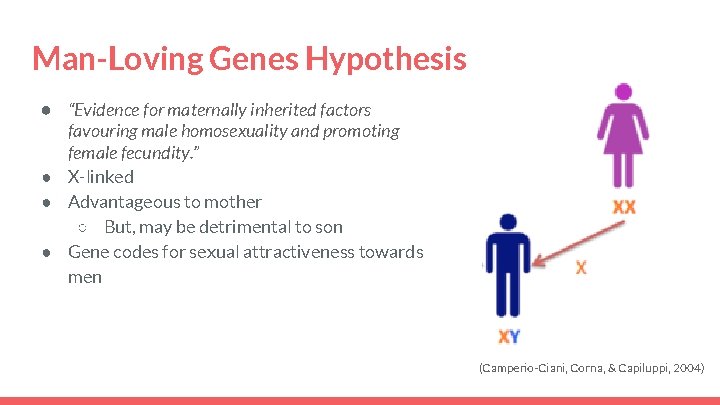 The Biological Basis of Sexuality Gabrielle Retta CJ