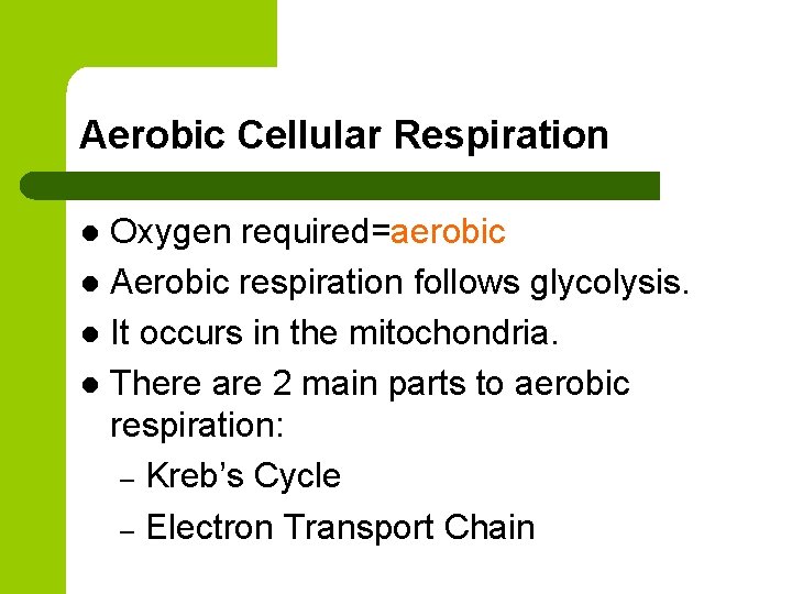 Photosynthesis and Cellular Respiration How do cells obtain