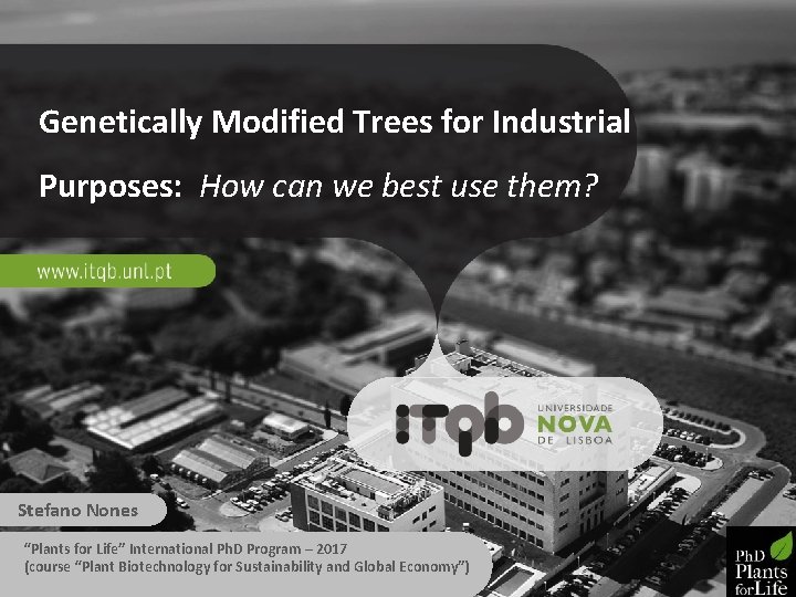 Genetically Modified Trees for Industrial Purposes How can