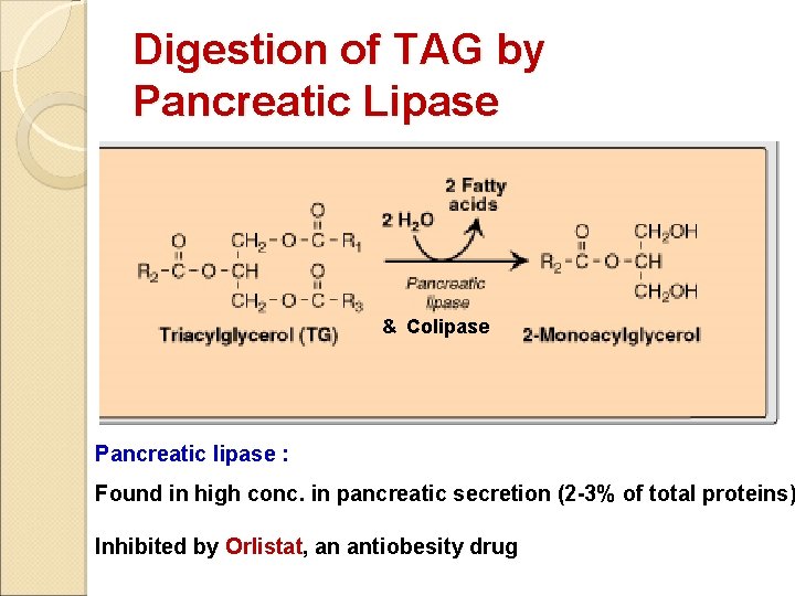 Biochemical Aspects of Digestion of Lipids Dr Amr