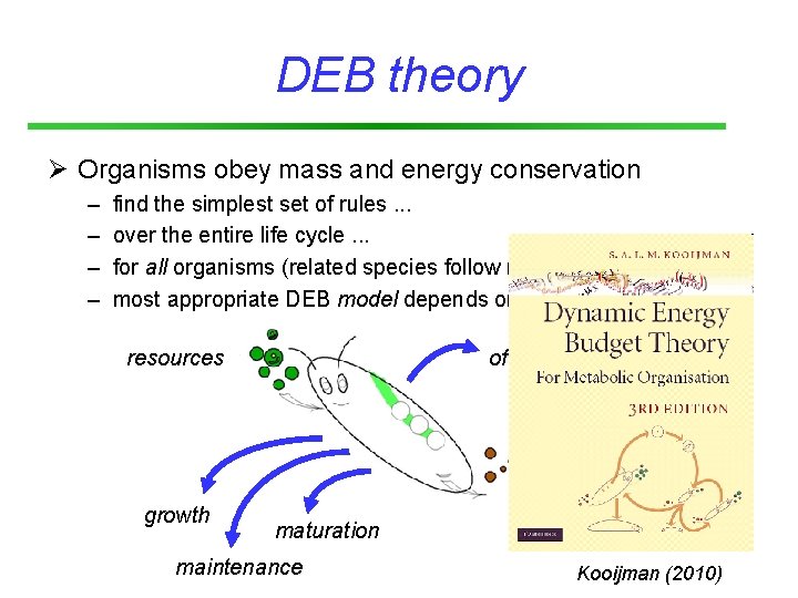 DEBtox a brief history and extension to mixtures