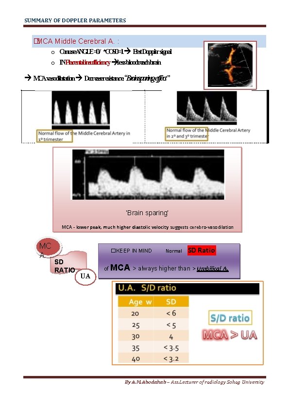 SUMMARY OF DOPPLER PARAMETERS N B THIS SUMMARY