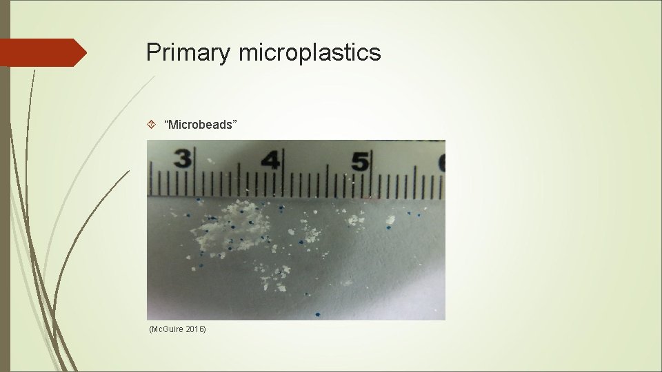 Interdependence of the Environment and Public Health Microplastics