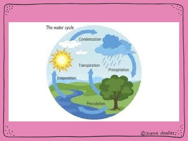 The Water Cycle A presentation by Science Doodles