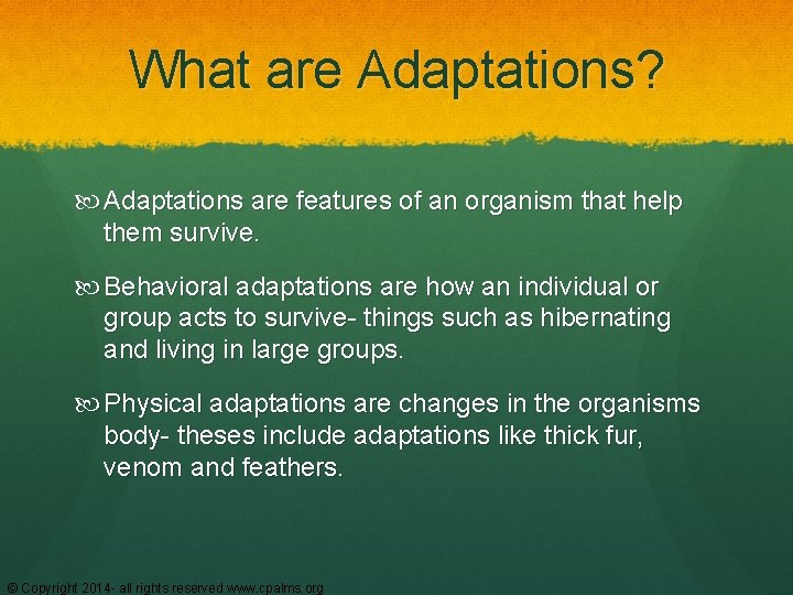 Adaptations in the Animal Kingdom How animals can