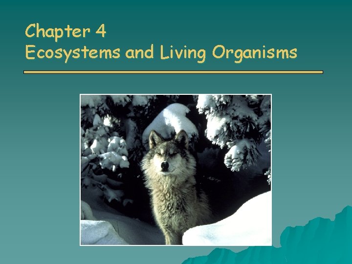 Chapter 4 Ecosystems and Living Organisms Overview of