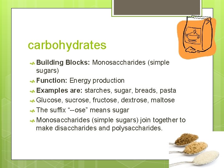 Biomolecules and Photosynthesis Biology Essential Standard 4 1