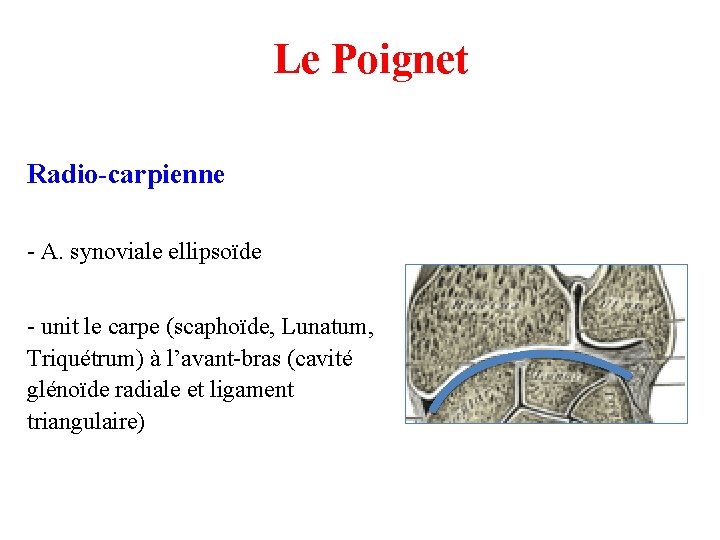 FACULTE DE MEDECINE IBN EL JAZZAR DE SOUSSE
