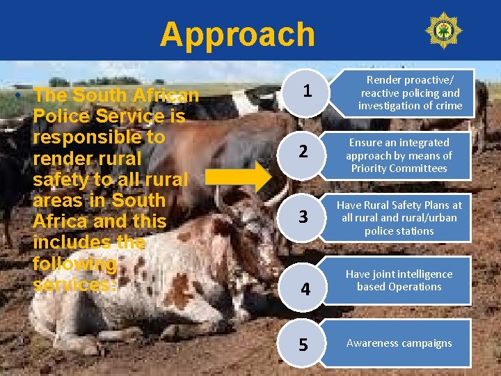 South African Approach Rural Safety Background Rural Safety