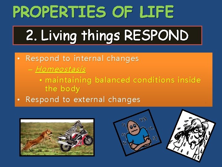 Properties of Life Today your objective is To