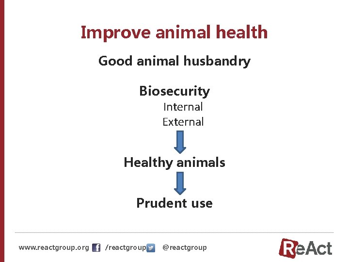 Prudent use of antibiotics in the animal sector