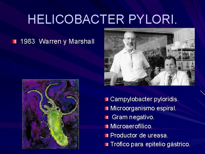 HELICOBACTER PYLORI Dr SCRATES MORA GUERRERO HOSPITAL SAN