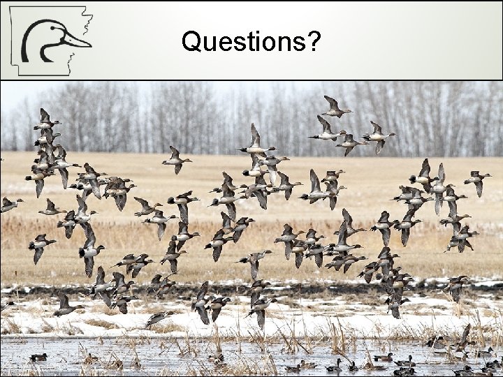 Government Conservation Programs Ethan Massey Waterfowl Biologist Ducks