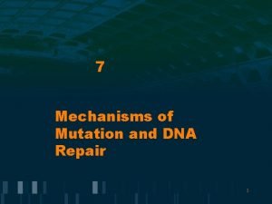 12 Molecular Mechanisms of Mutation and DNA Repair