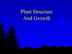 PLANT STRUCTURE The Typical Plant Body The Root
