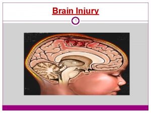 The Human Brain Anatomy Functions and Injury Main