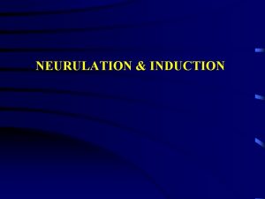 Neurulation Somitogenesis General Body Plan and Fetal Membranes