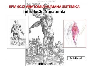 ANATOMIA Y FISIOLOGIA DE LOS MAXILARES TEMA 1