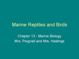 Chapter 11 Marine Reptiles and Birds Marine Reptiles