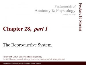 Animal Reproduction Lesson 1 Male Reproductive System Lesson