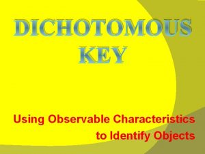 Using a Dichotomous Key to identify coniferous trees