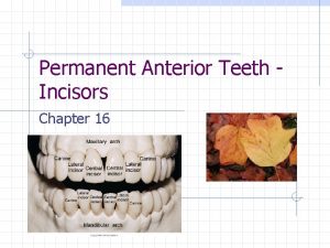 Occlusal concepts Balanced and nonbalanced occlusion incisal guidance