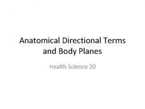 Body Planes Introduction Orientation and Directional Terms Orientation