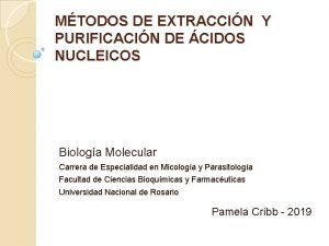 TPN 1 EXTRACCIN Y PURIFICACIN DE CIDOS NUCLEICOS