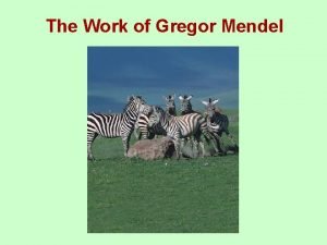 Section 9 1 Mendels Legacy Gregor Mendel 1842