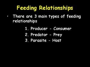 Nutrition Risk and Trophic Feeding What Does It