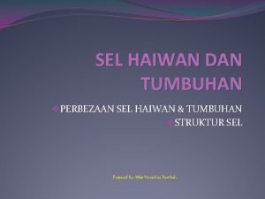 BAB 2 STRUKTUR DAN FUNGSI JARINGAN TUMBUHAN Sumber