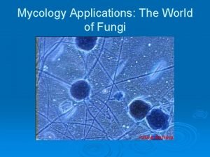Practical medical mycology Lab 7 identification of fungi