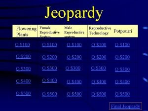 Jeopardy Animals 1 Animals 2 Animals 3 Animals