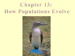 Biology Chapter 15 Evolution Unit Darwins Theory of