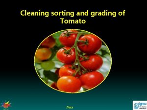 Cleaning sorting and grading of banana Next Cleaning