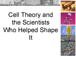 Cell Theory and the Scientists Who Helped Shape