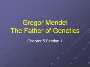 Intro to Genetics Mendel Mendel Father of Genetics