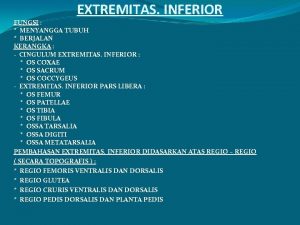 ANATOMI EXTREMITAS INFERIOR Tim Anatomi FIK Universitas Negeri